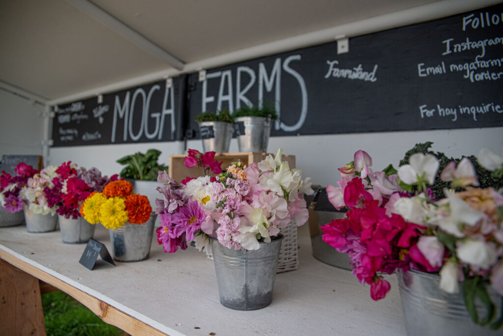 Moga Farms - Genuine Skagit Valley